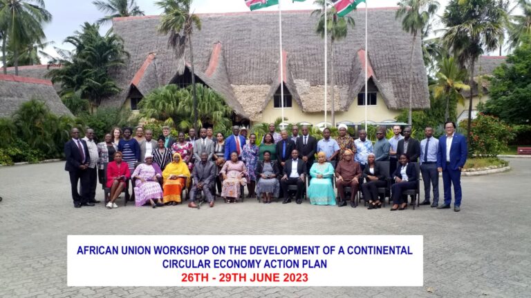 Continental Action Plan for Circular Economy in Africa (2024-2034 ...